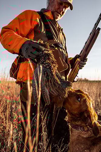 Guide to Choosing Pheasant Loads for Your Next Hunt