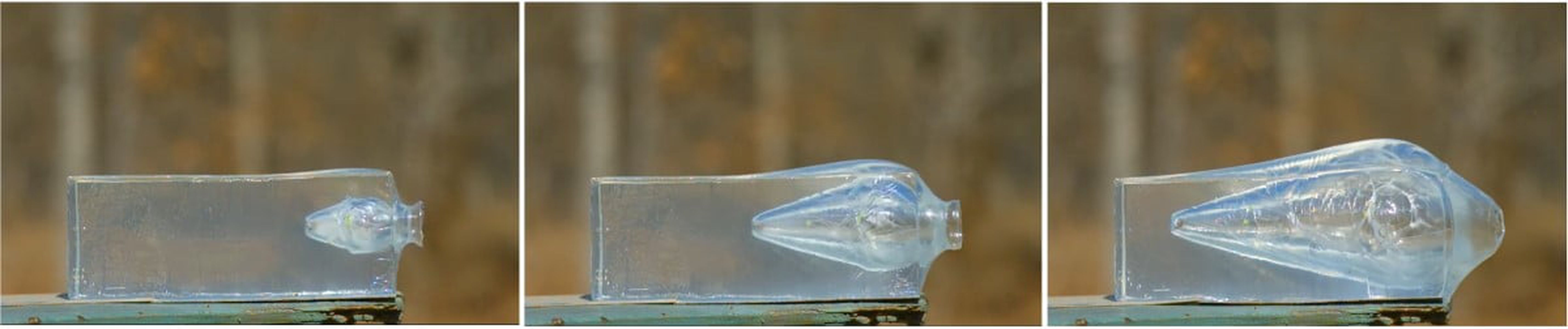 Premier AccuTip Sabot Slug