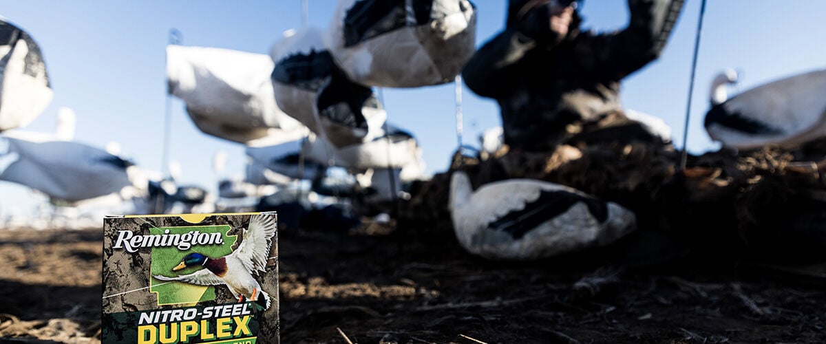 Bismuth vs Steel vs Tungsten: Choosing the Right Load for Waterfowl Hunting