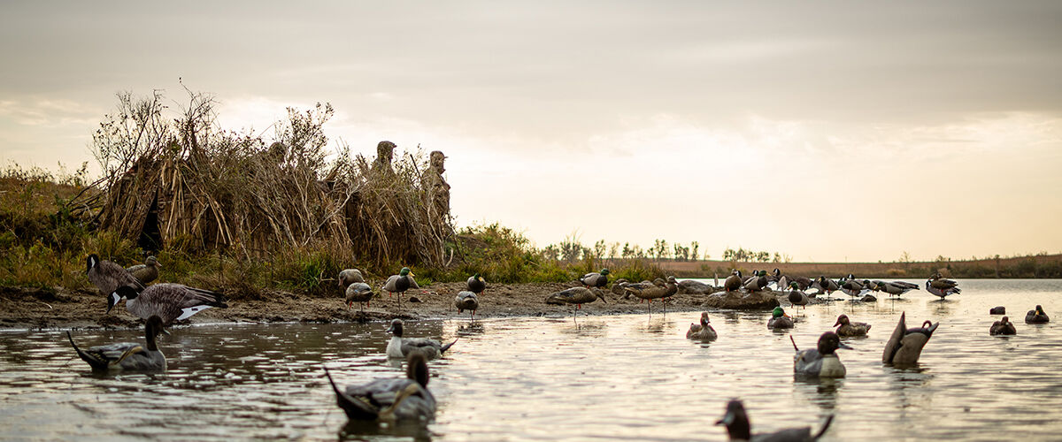 How to Choose Duck Hunting Shells: A Practical Guide for the New and ...